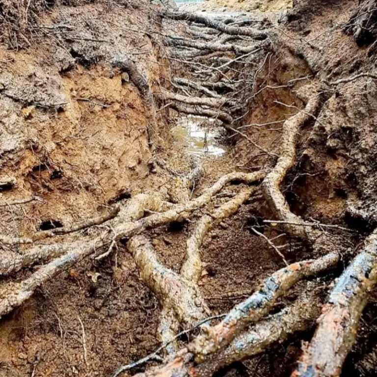 Vacuum Excavation and Pothole Locations - Pipe Pro Drilling
